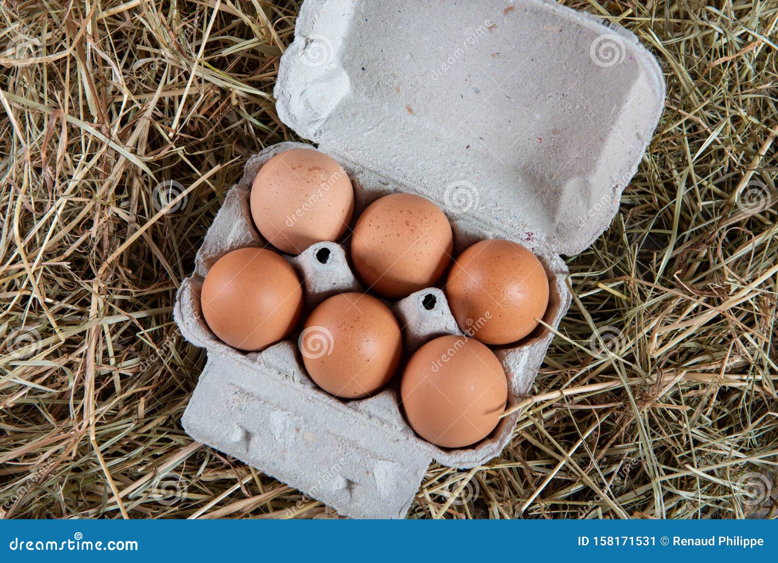 Eggs in the Package on the Straw Stock Image - Image of food, concept ...