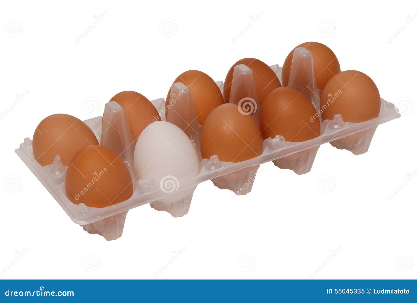 Eggs in package stock image. Image of grade, chicken - 55045335