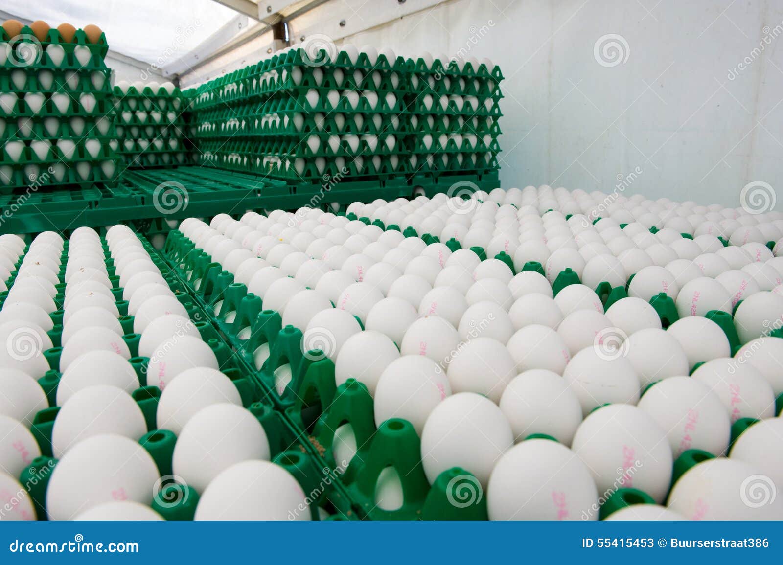 Eggs in package stock image. Image of farm, easter, ingredient - 55415453