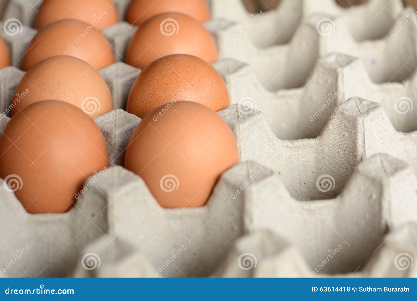 Eggs in a paper container stock photo. Image of group - 63614418