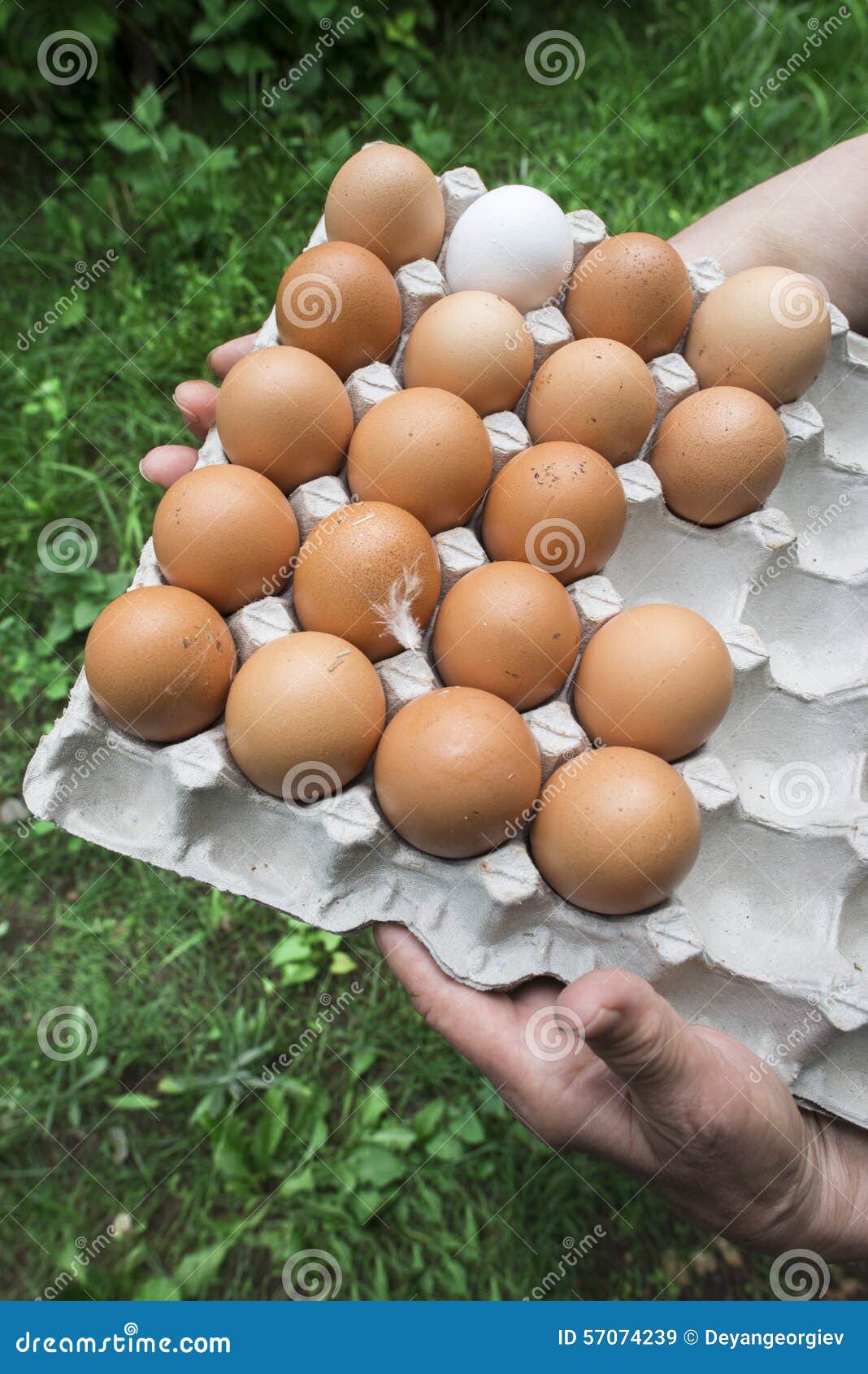Eggs in paper packaging. stock image. Image of eggs, nutrition - 57074239