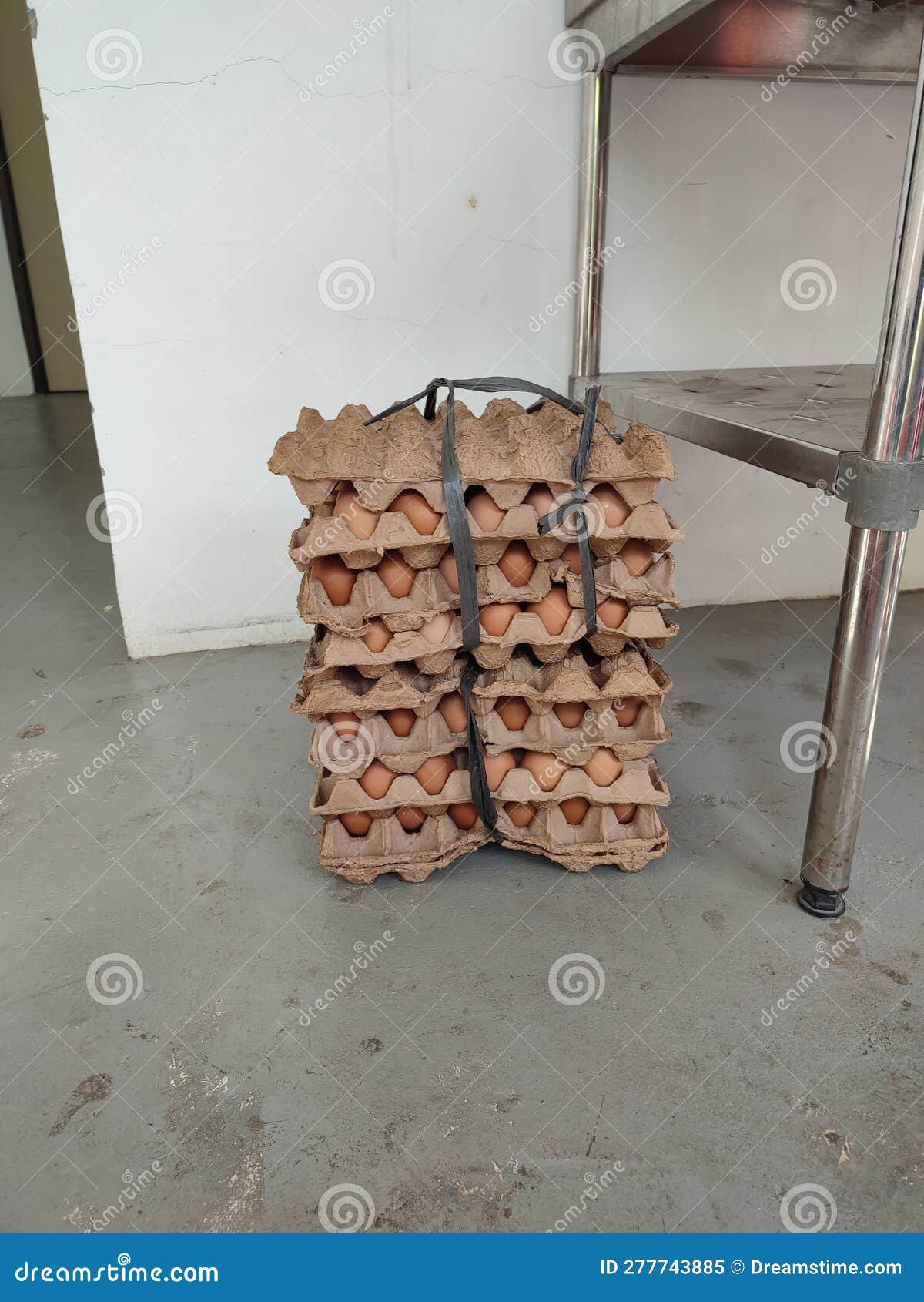 Eggs Plastic Strap Rack Stainless Steel Wall Floor Stock Image - Image ...