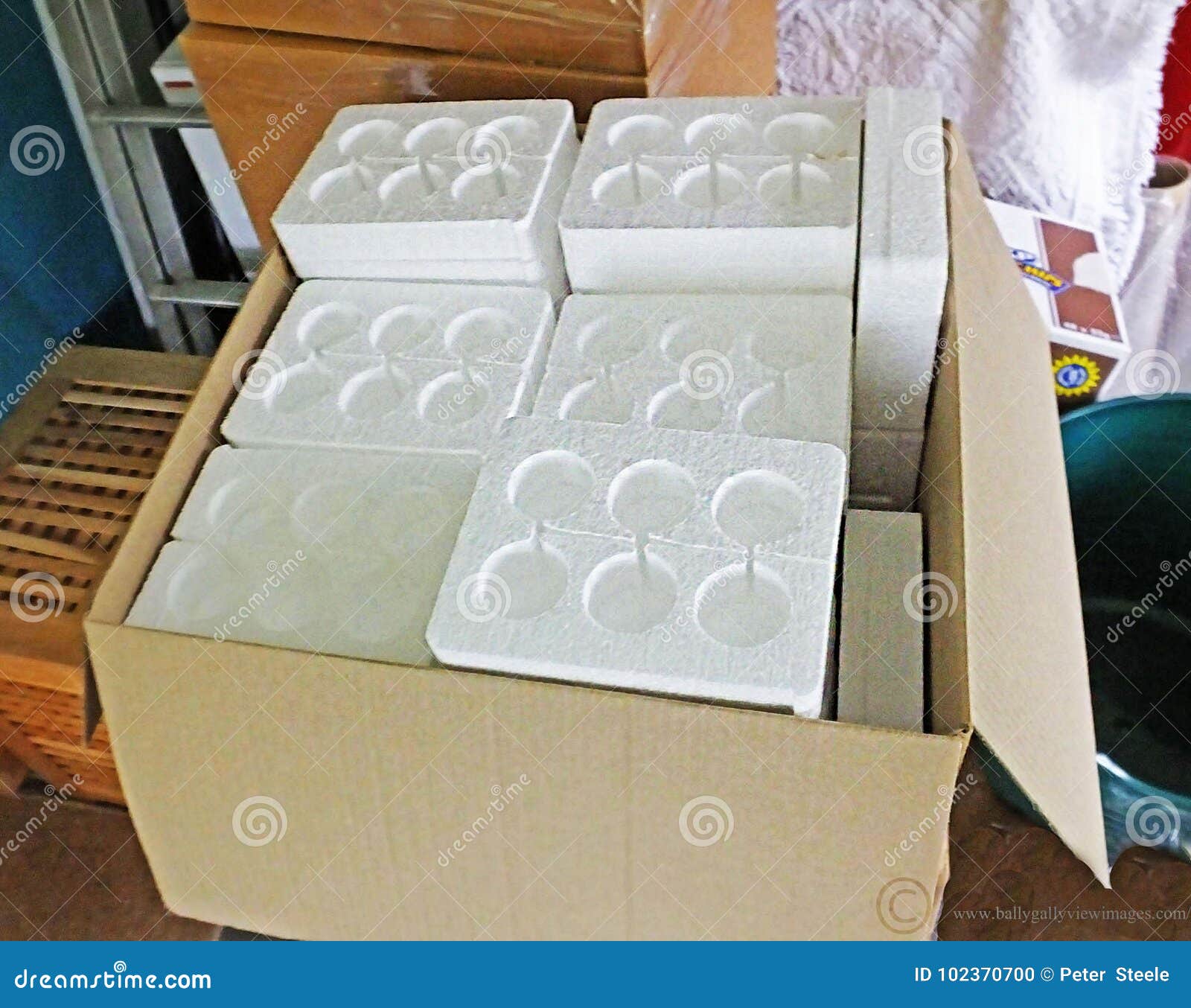 Eggs in Polystyrene Box for Posting Stock Photo - Image of ducks, goose ...
