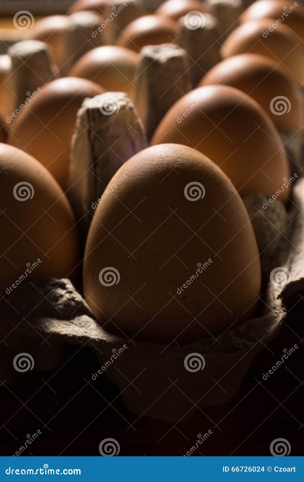 Eggs poultry concept. stock photo. Image of high, eggshell - 66726024