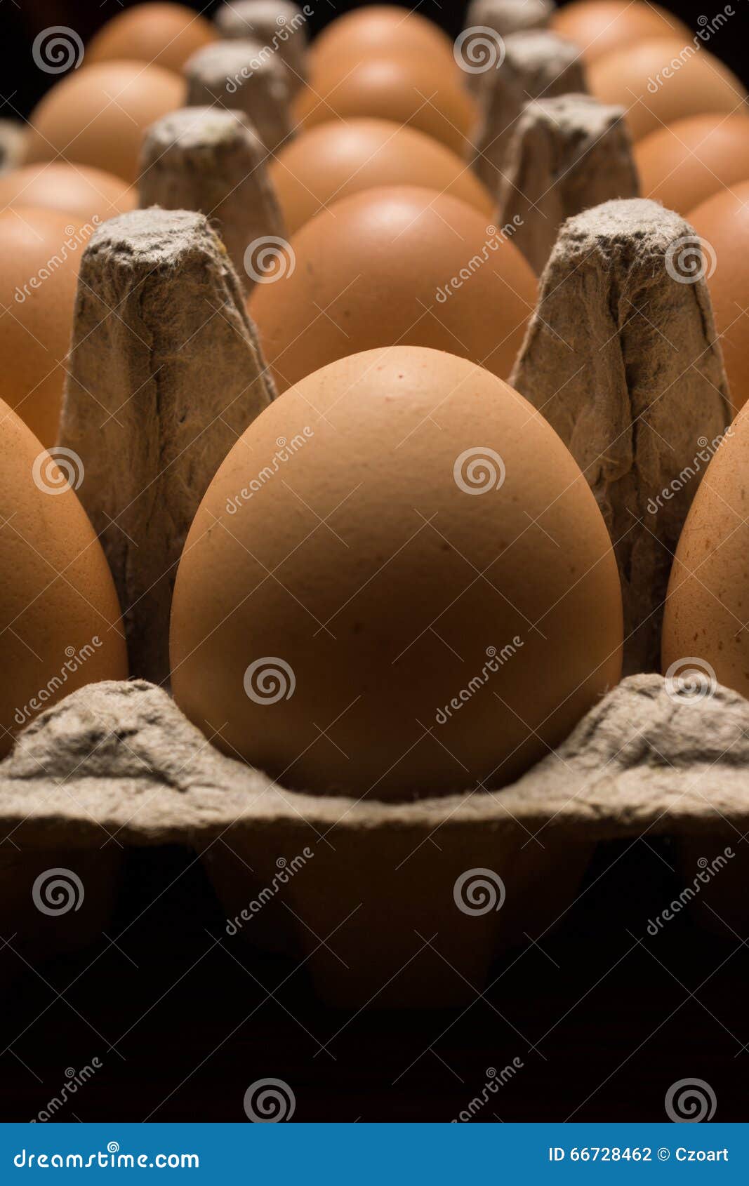 Eggs poultry concept. stock photo. Image of nature, healthy - 66728462