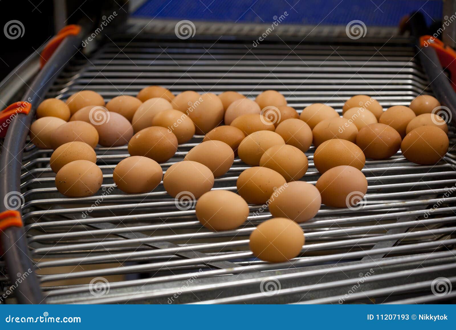 Eggs production line stock image. Image of production - 11207193