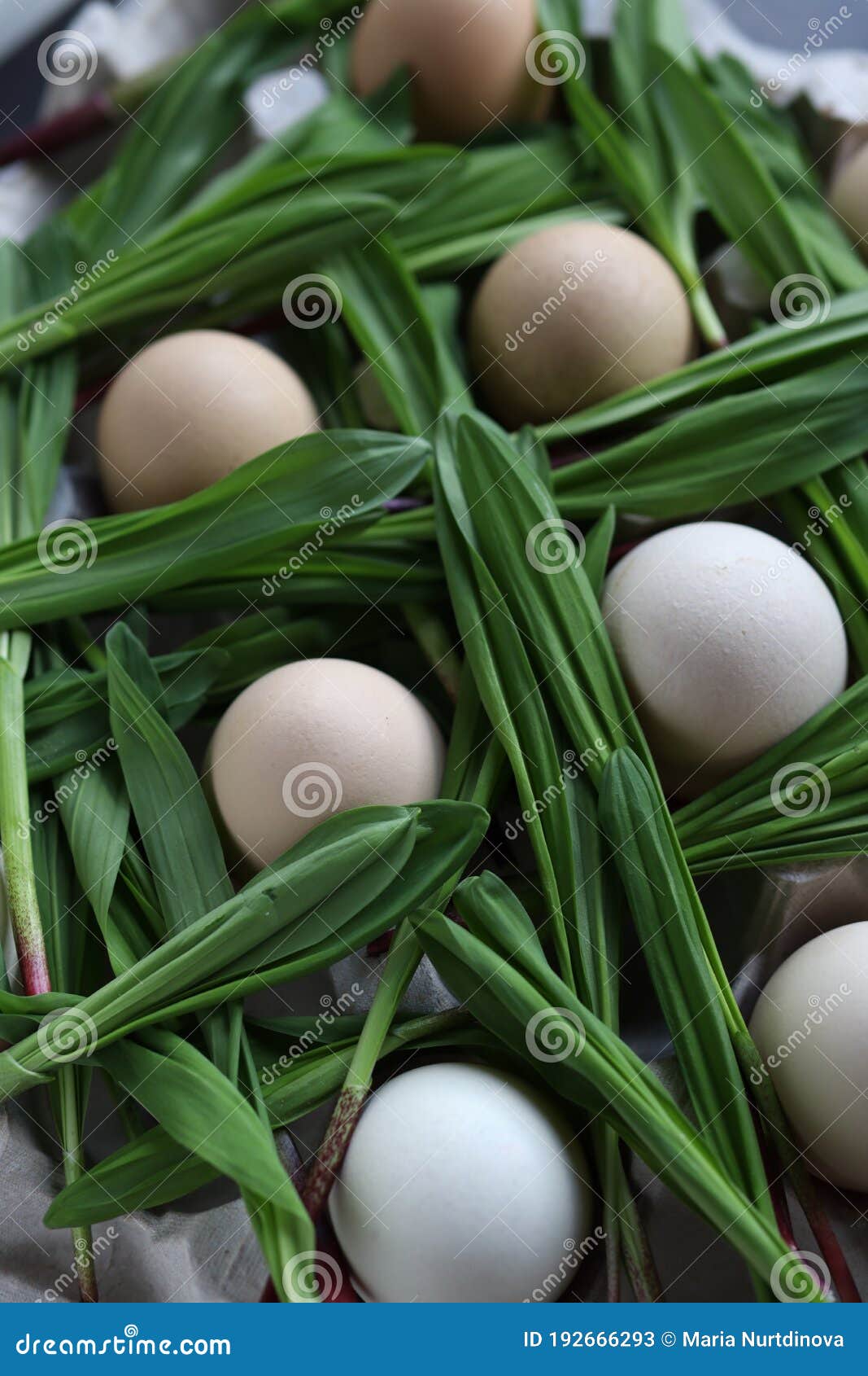 Eggs and Ramson on a Table, Wood Garlic Stock Image - Image of table ...