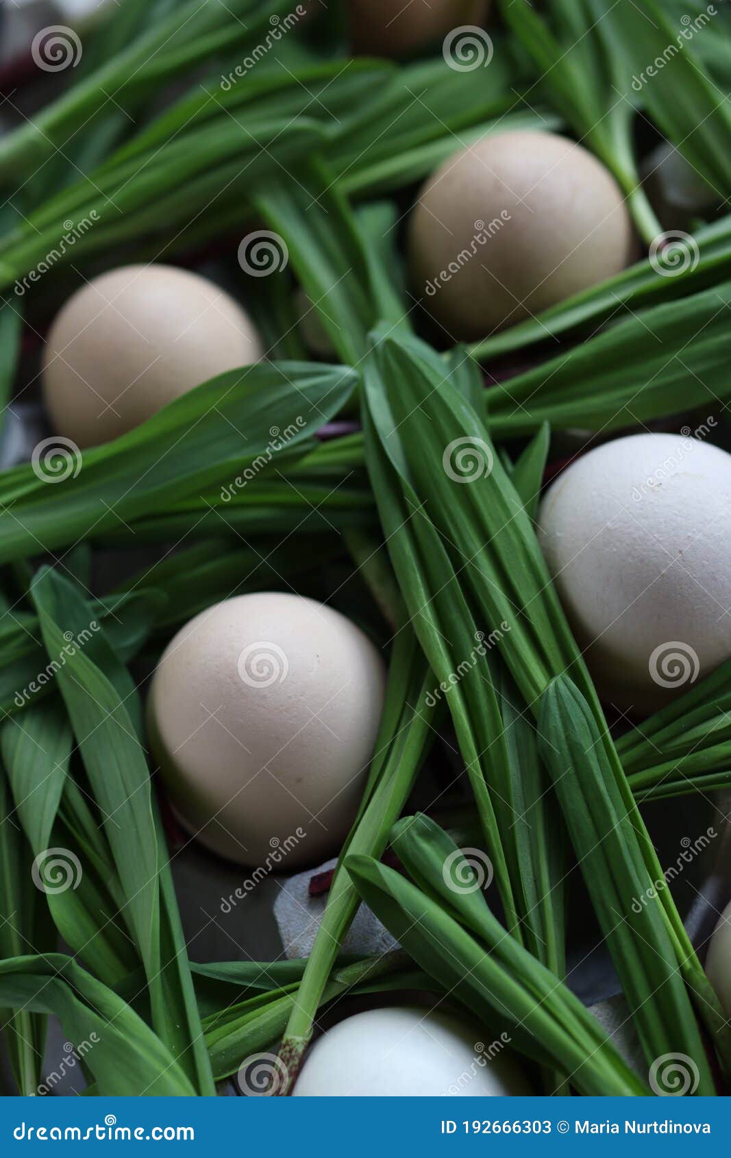 Eggs and Ramson on a Table, Wood Garlic Stock Image - Image of table ...