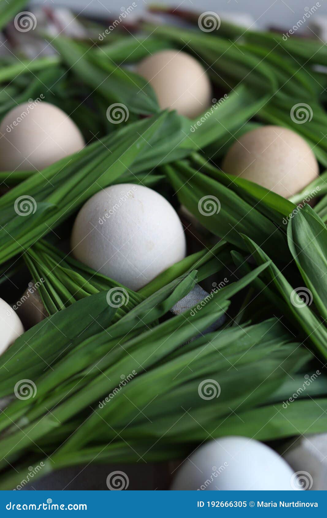 Eggs and Ramson on a Table, Wood Garlic Stock Image - Image of ...