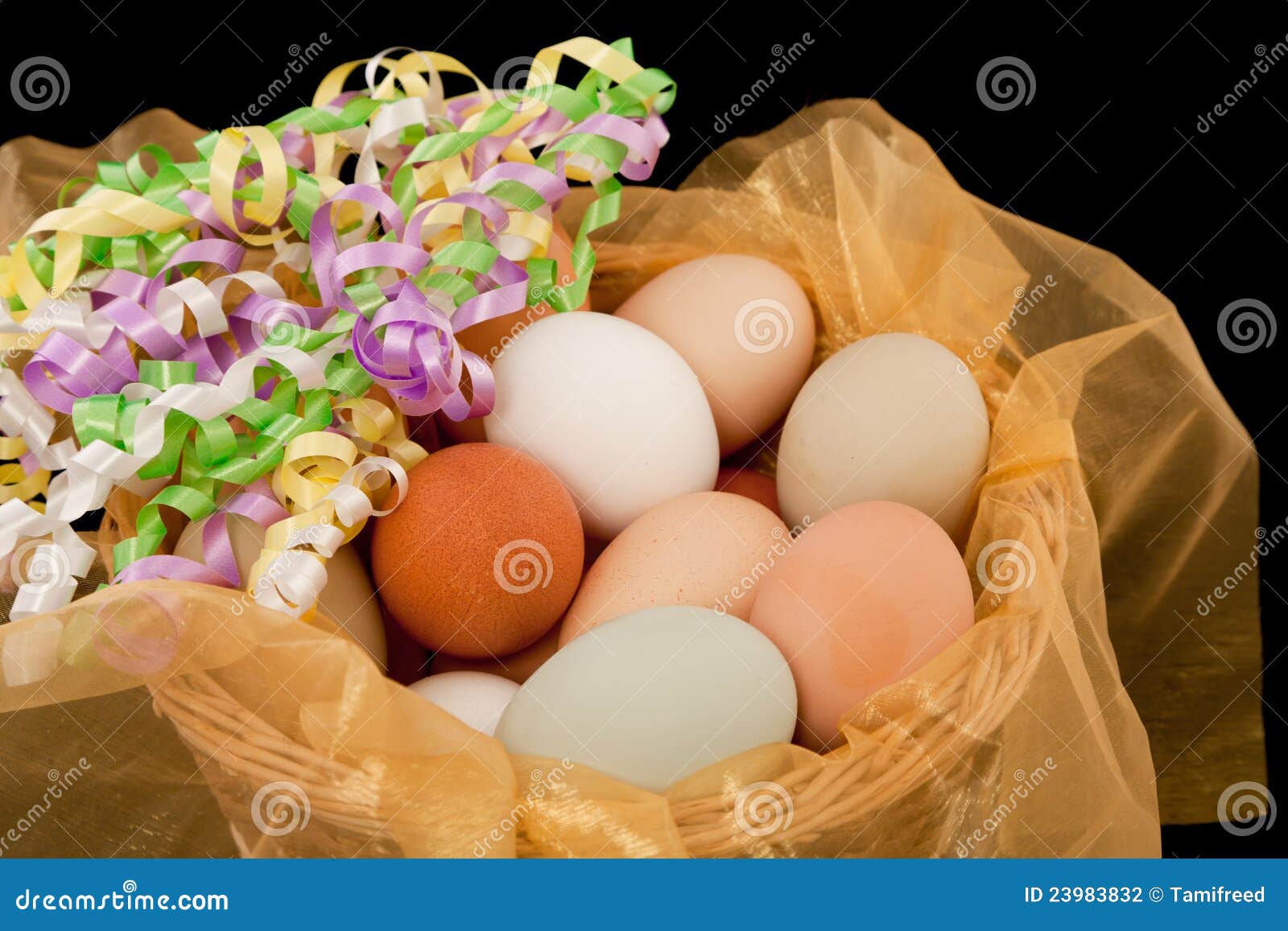 Eggs with Ribbons stock photo. Image of natural, nutrition - 23983832