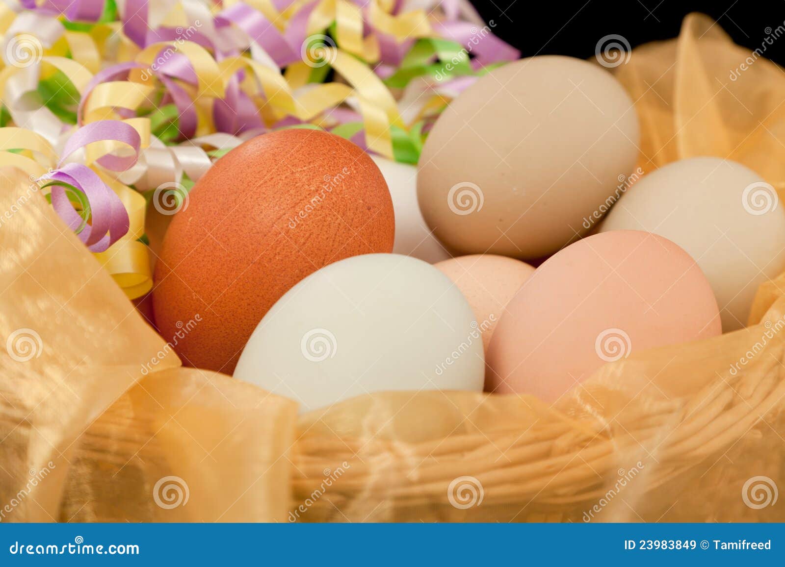 Eggs with Ribbons stock image. Image of holiday, mesh - 23983849