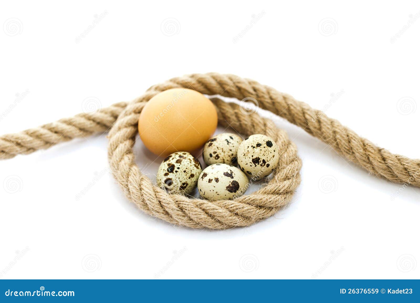 Eggs in a rope stock image. Image of design, closeup - 26376559