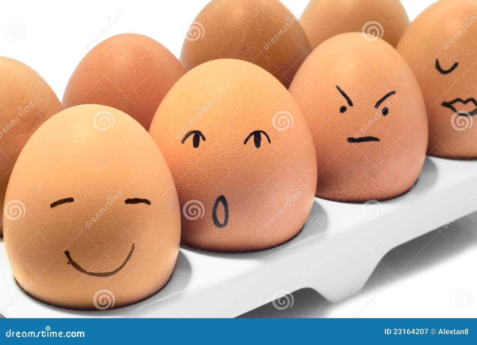 Eggs row stock image. Image of ingredient, dozen, organic - 23164207