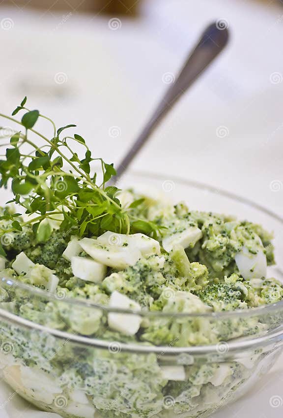 Eggs salad stock photo. Image of veggies, broccoli, food - 5684166