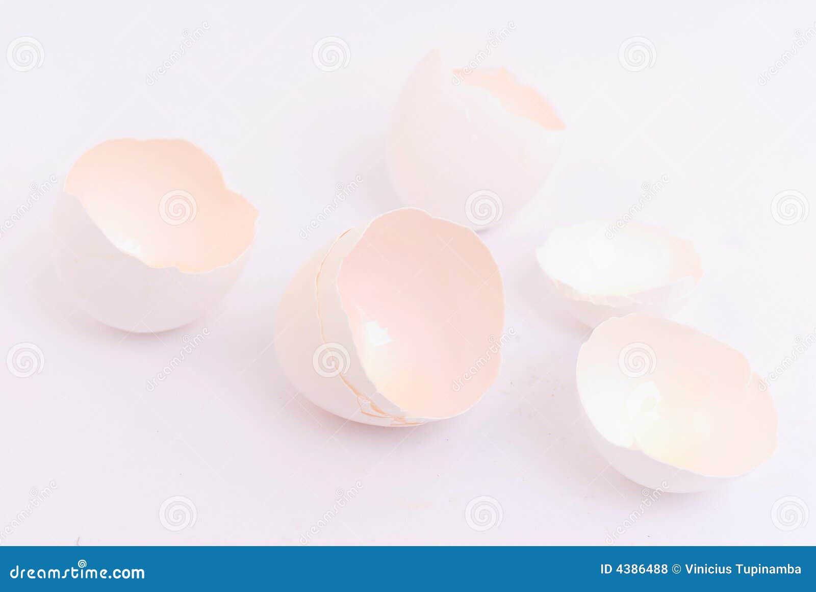 Eggs Shell stock photo. Image of yellow, easter, white - 4386488