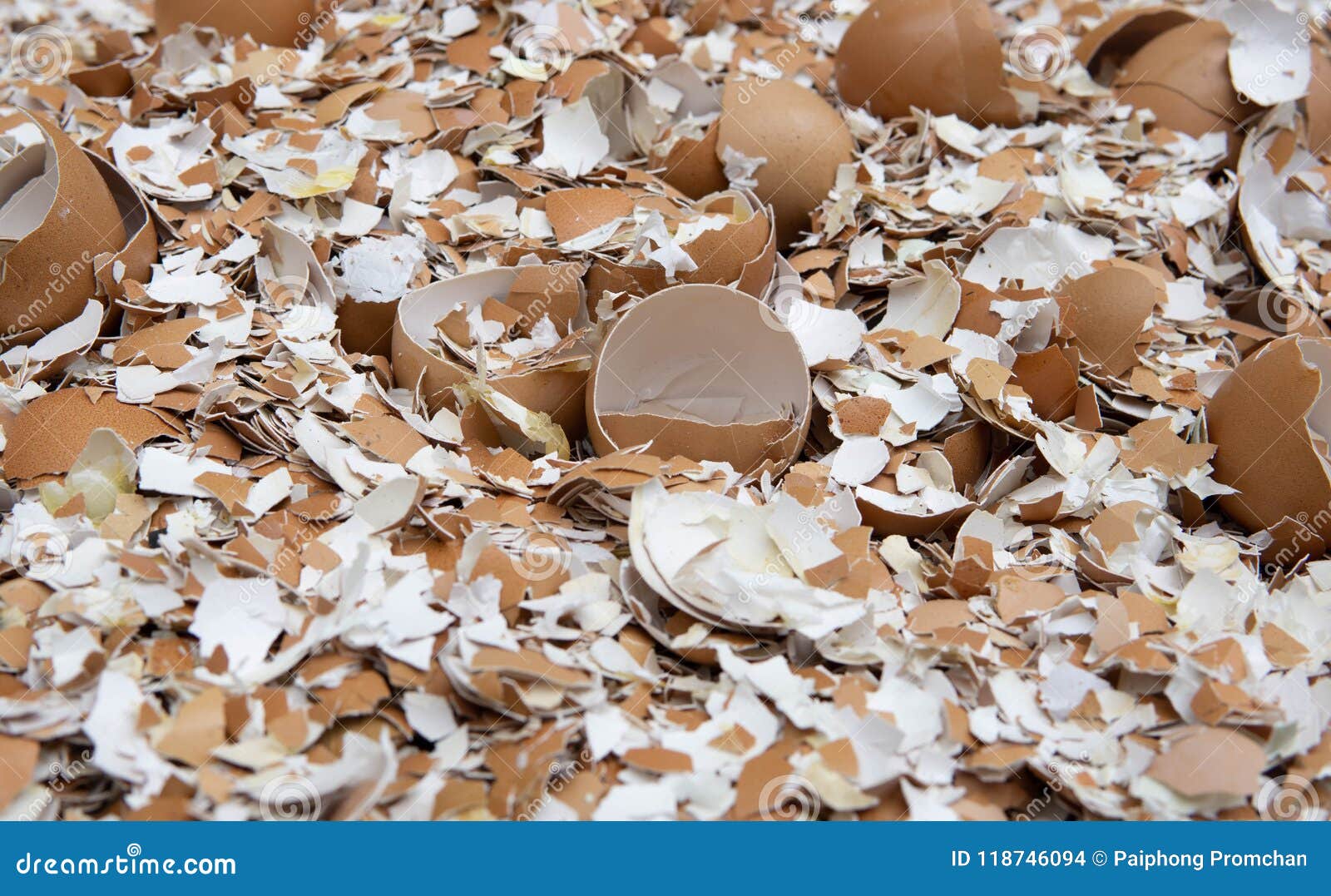 Eggs shell break up stock photo. Image of background - 118746094