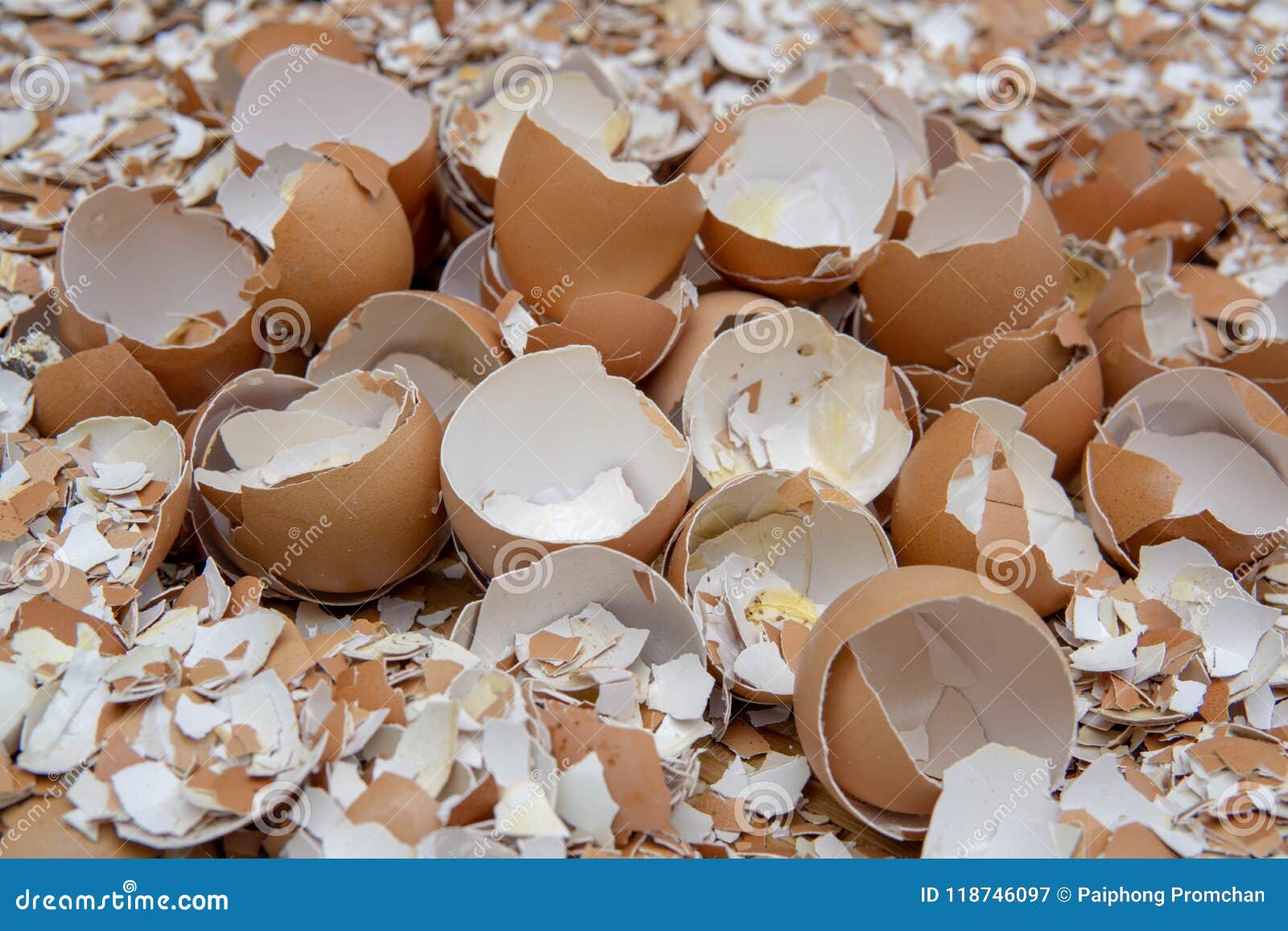 Eggs shell break up stock image. Image of crack, fertilizer - 118746097