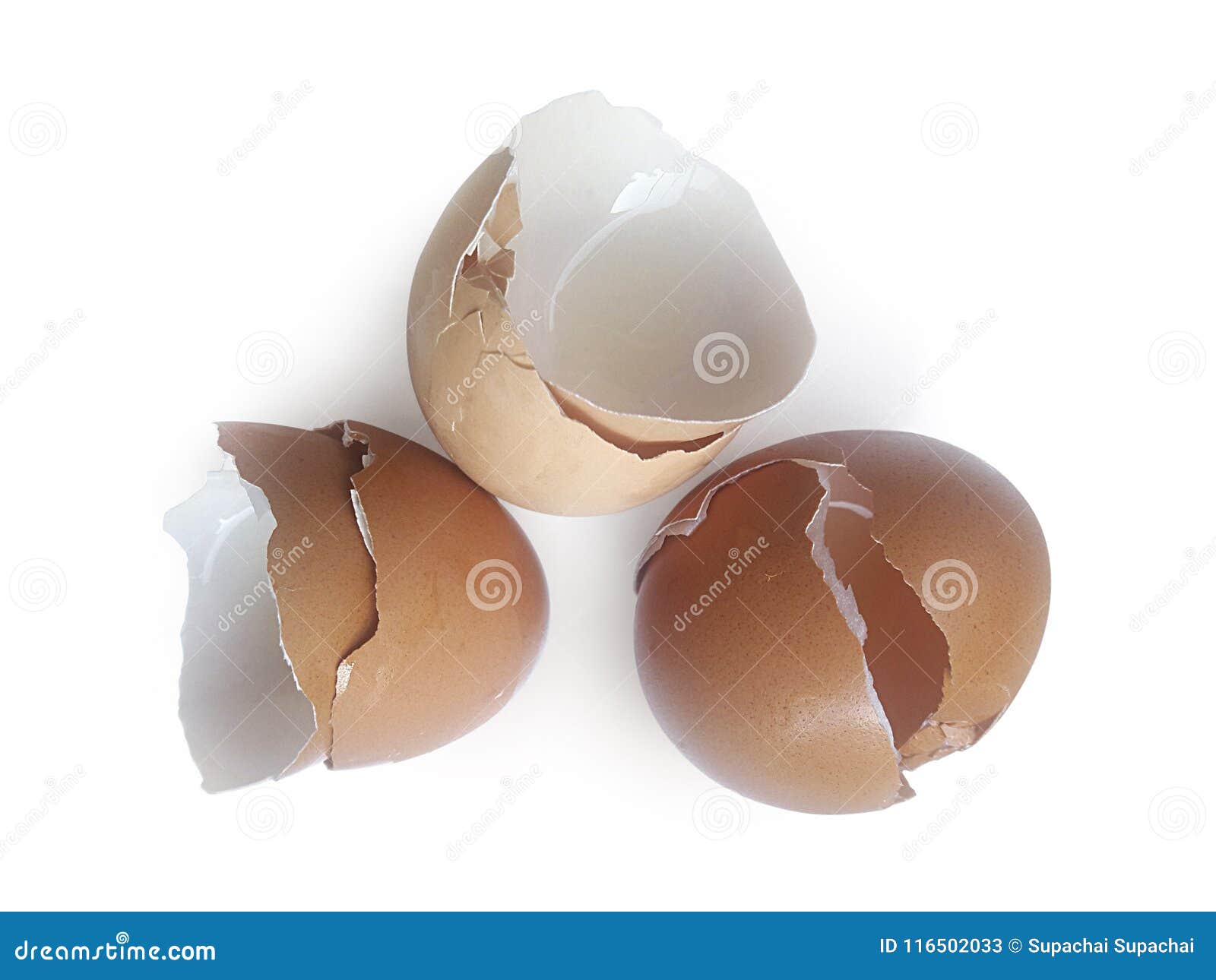 Eggs Shell Isolated on a White Background Stock Image - Image of food ...