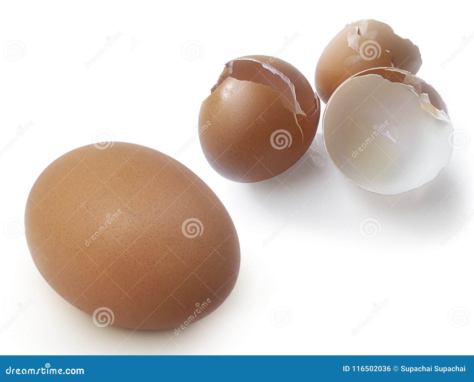 Eggs Shell on a White Background Stock Photo - Image of food, fresh ...