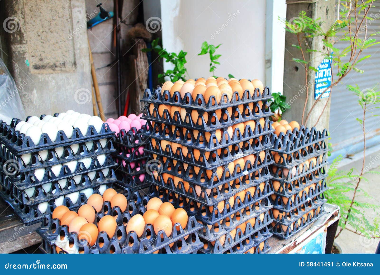 Eggs shop stock image. Image of selling, shop, chicken - 58441491