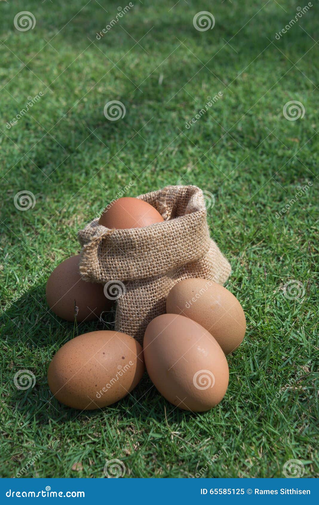 Eggs in a Small Burlap Sack Stock Image - Image of isolated, eggshell ...