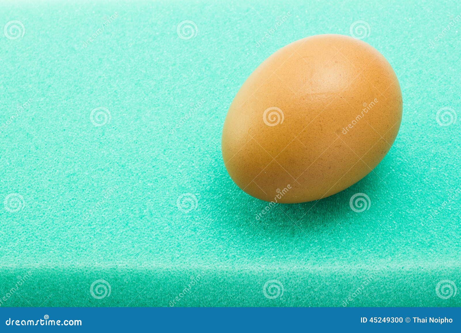 Eggs on sponge stock photo. Image of storage, sponge - 45249300
