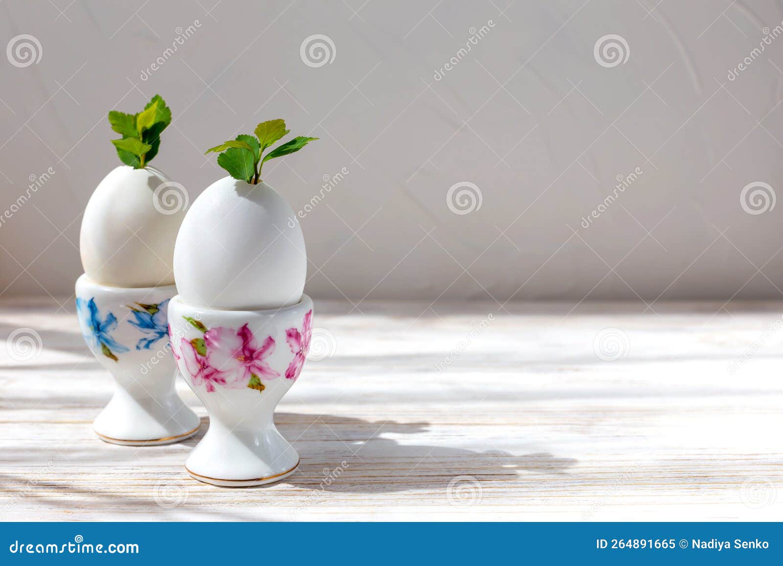 Eggs with Sprout in a Stand Stock Image - Image of spring, growth ...