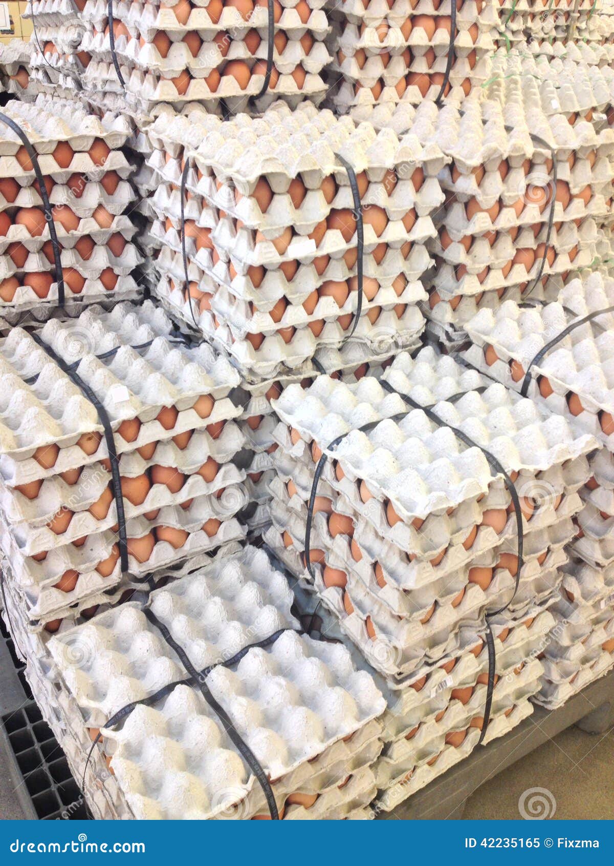 Eggs stock image. Image of natural, chicken, group, healthy - 42235165