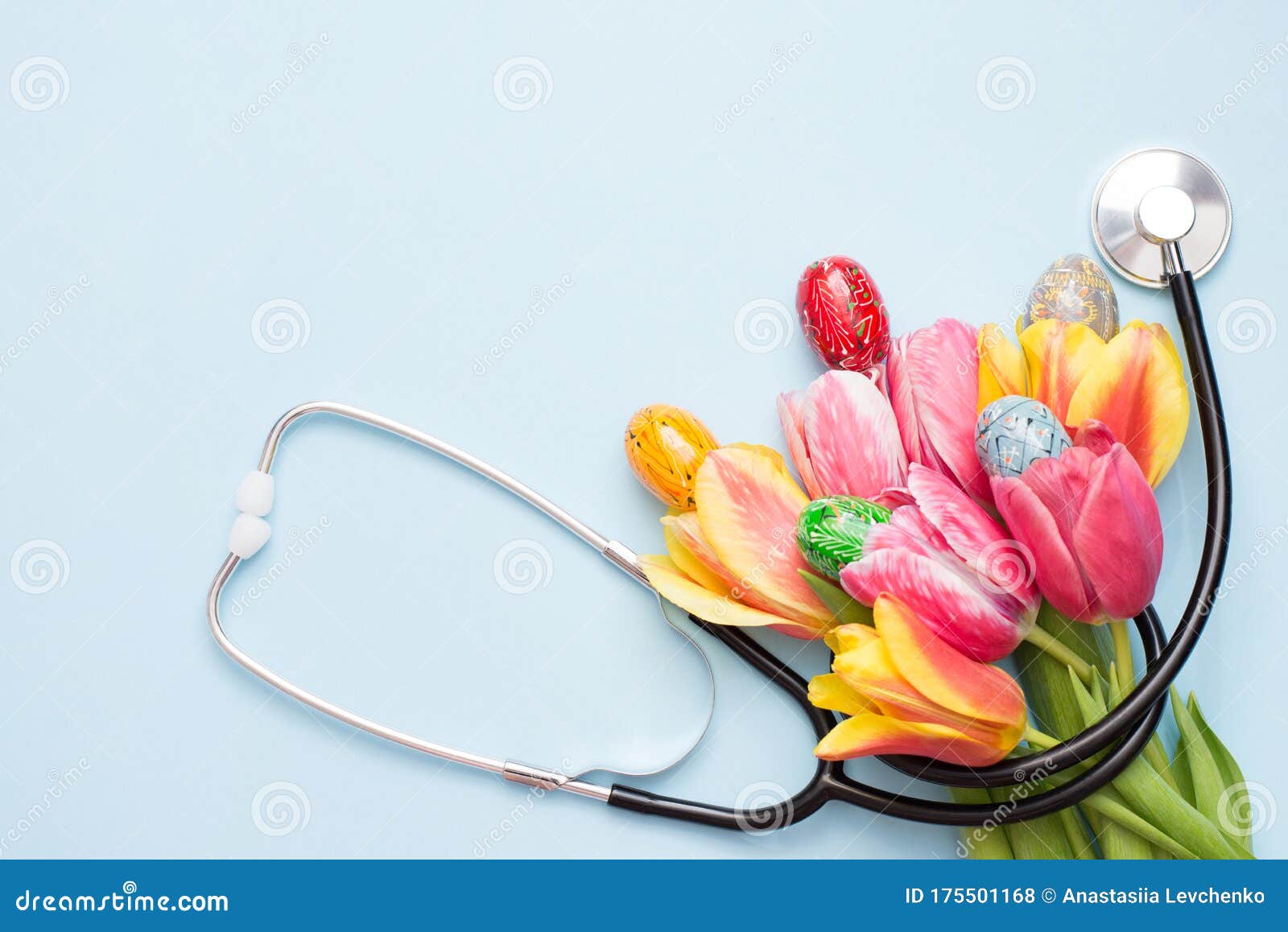 Eggs with Stethoscope and Flowers on Blue Background. Copy Space ...