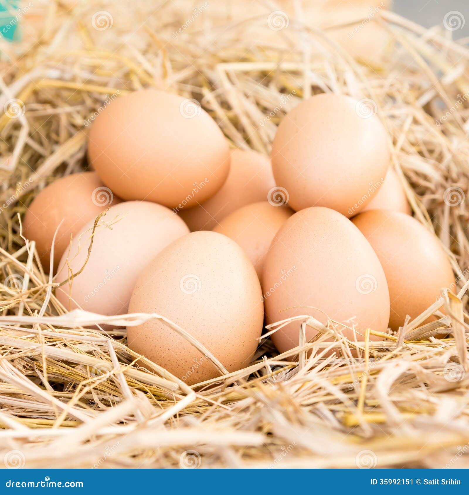 Eggs in a straw nest stock image. Image of culture, avian - 35992151