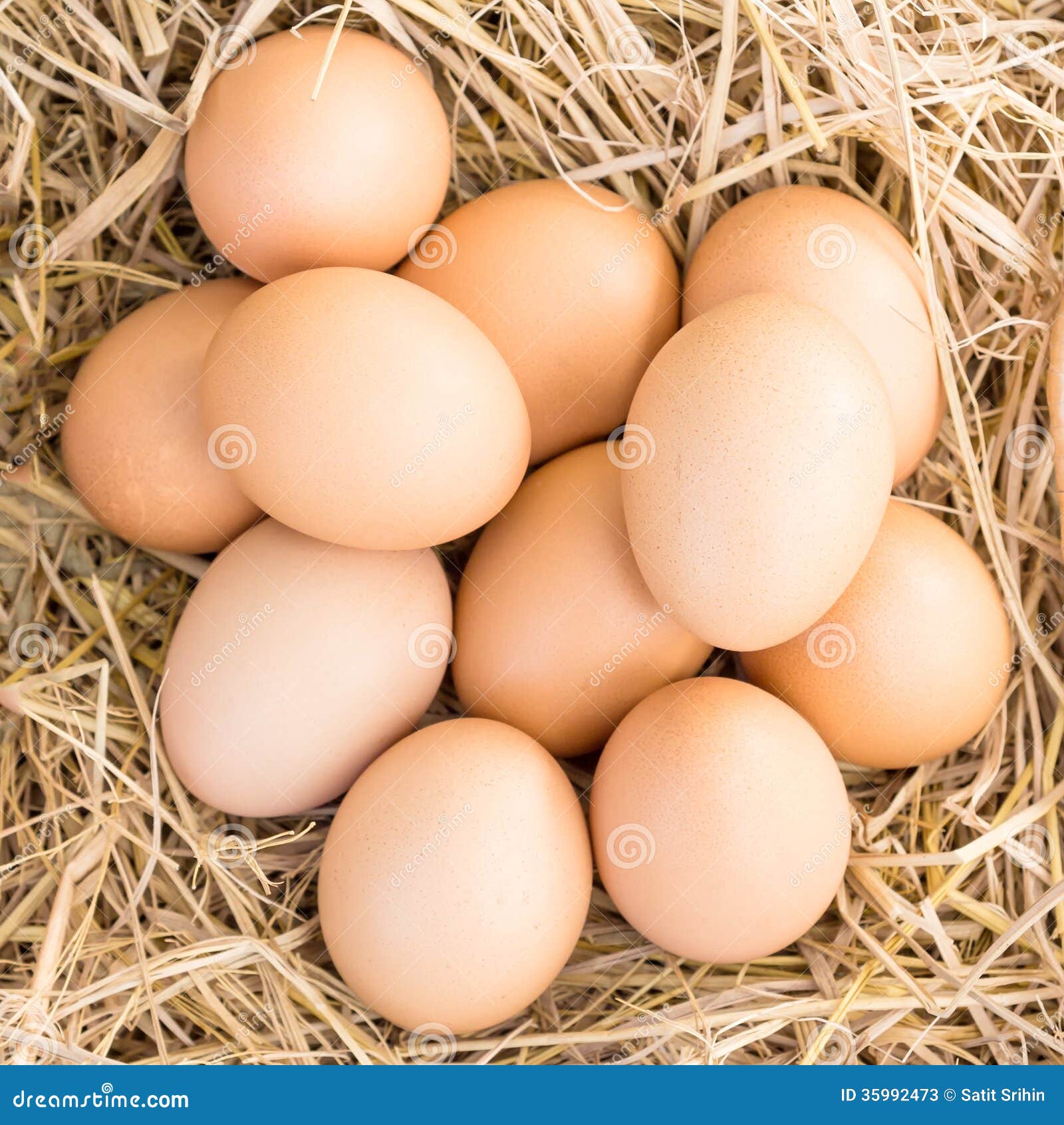 Chicken Testis Stock Photos - Free & Royalty-Free Stock Photos from ...