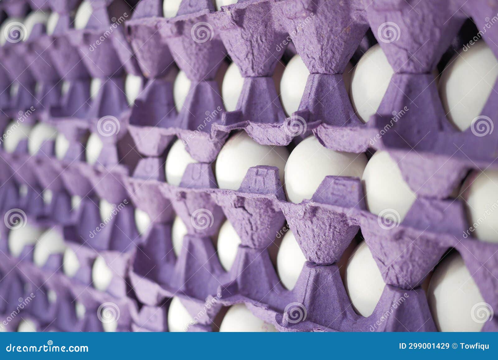 Eggs in the Supermarket a Lot of Eggs Cardboard Trays Stock Image ...
