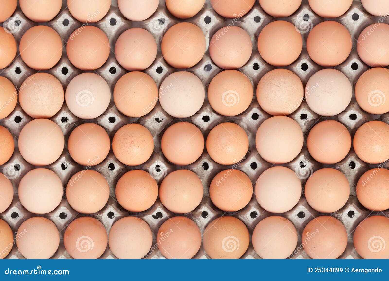 Eggs in tray stock image. Image of beige, fresh, brown - 25344899