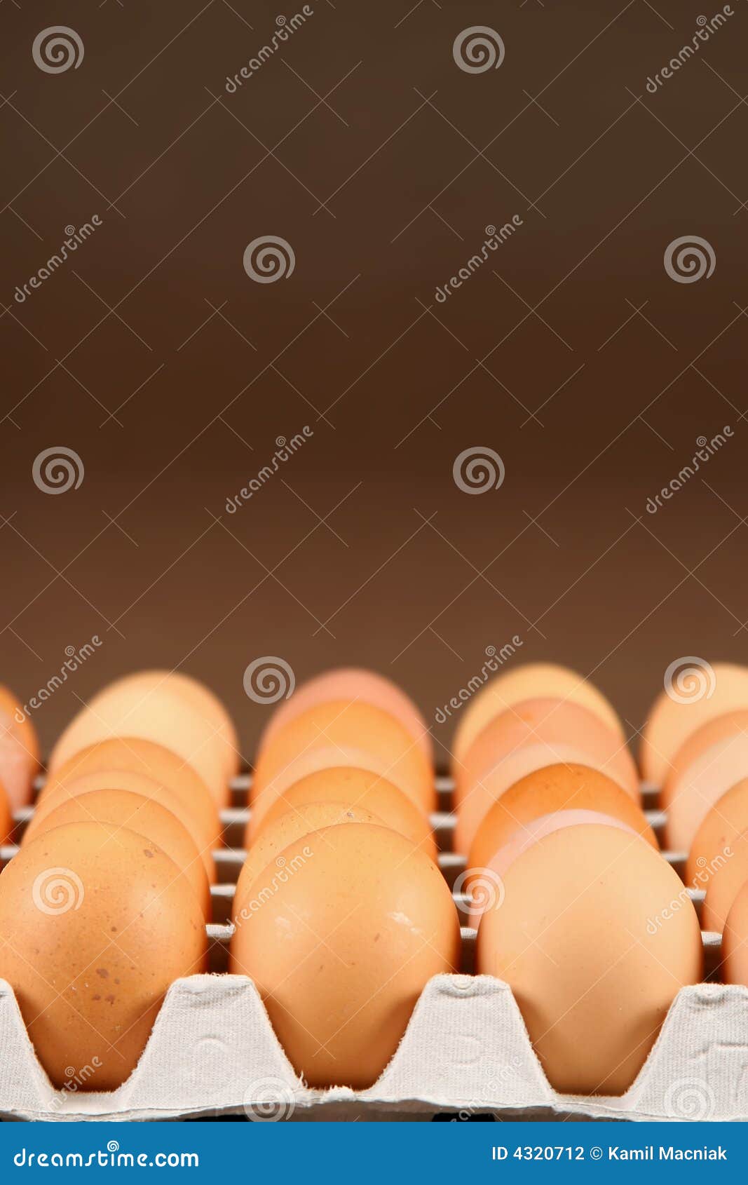 Eggs in tray stock photo. Image of easter, bunch, ellipse - 4320712