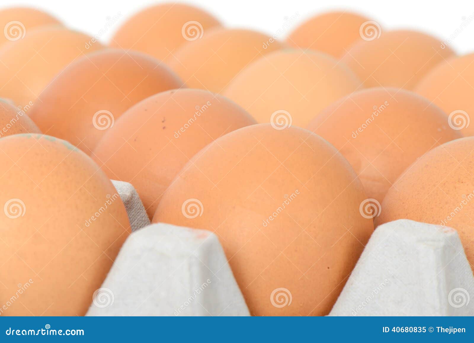 Eggs on tray stock image. Image of closeup, nature, meal - 40680835