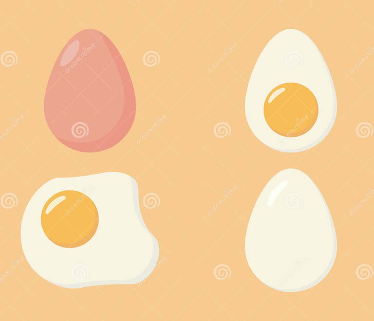 Eggs in Various Forms. Set of Fried, Boiled, Half, Vector Illustration ...