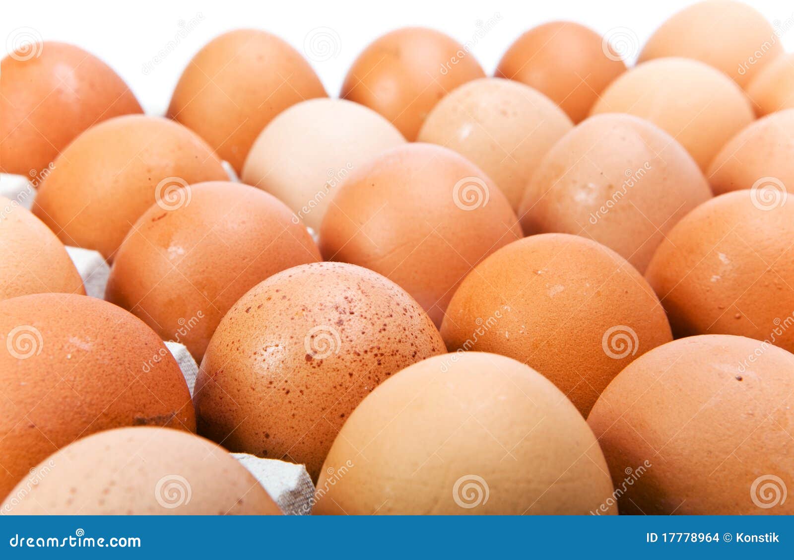 Eggs on white background stock photo. Image of animal - 17778964