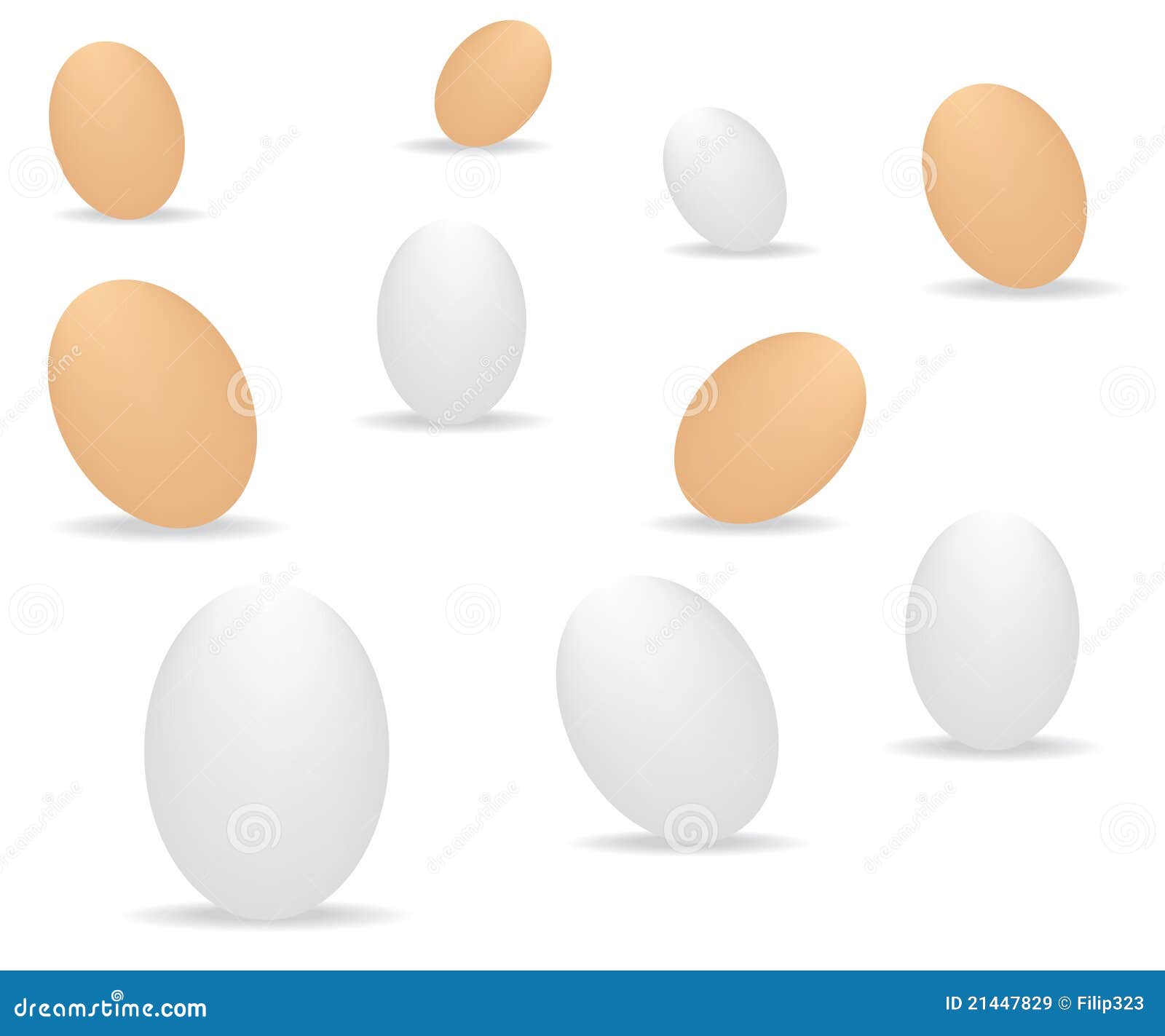 Eggs on white background stock vector. Illustration of conceptual ...