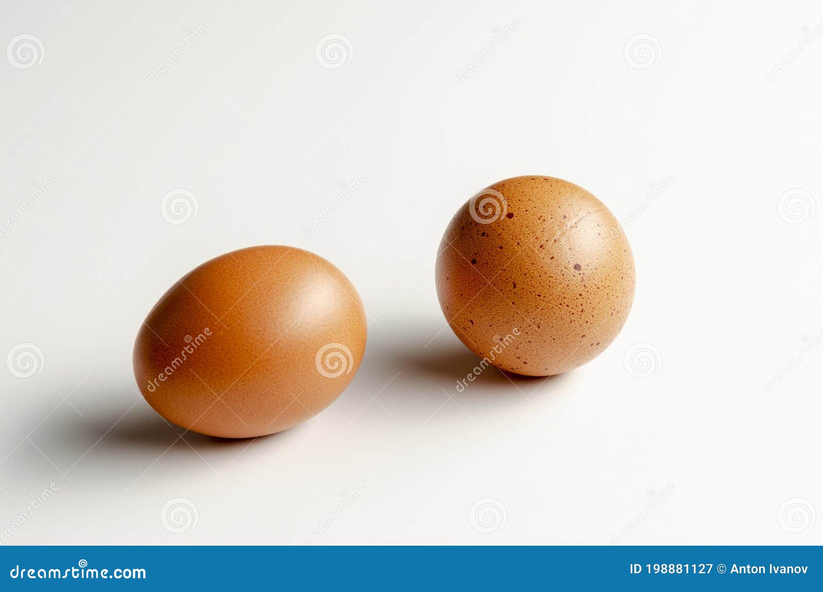 Eggs on a White Background. Comparison. Round and Regular Egg Stock ...