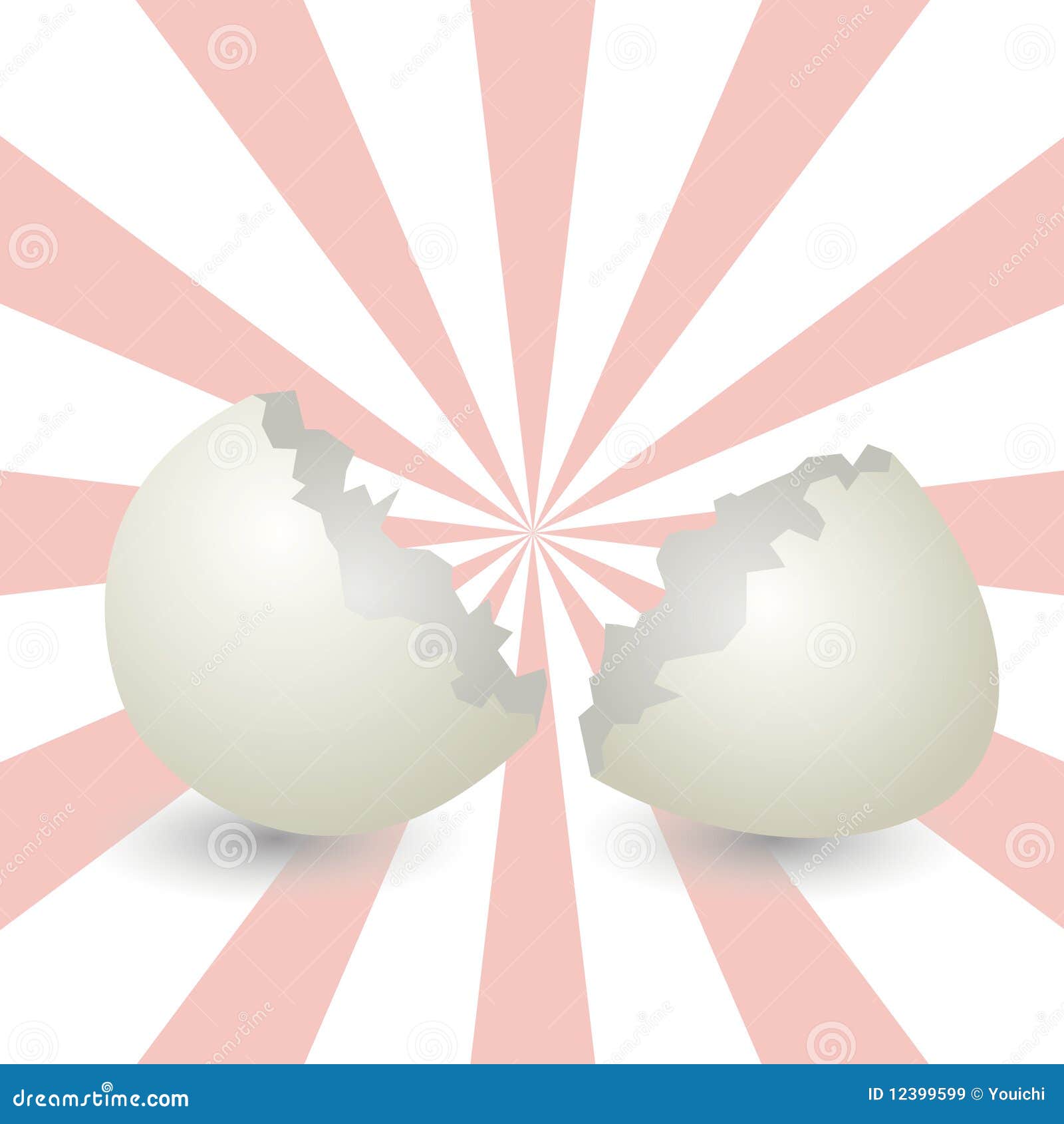 Eggshell stock vector. Illustration of beautiful, food - 12399599