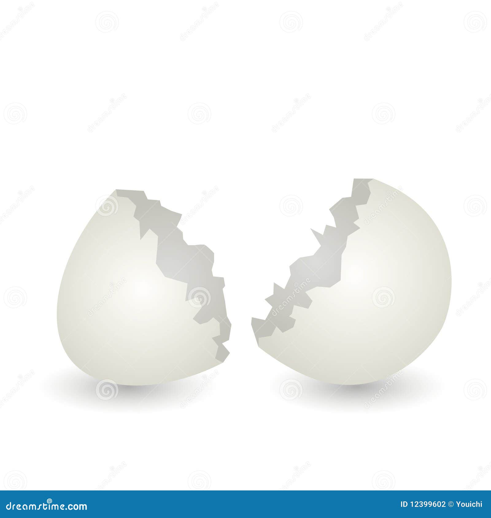Eggshell stock vector. Illustration of food, backgrounds - 12399602