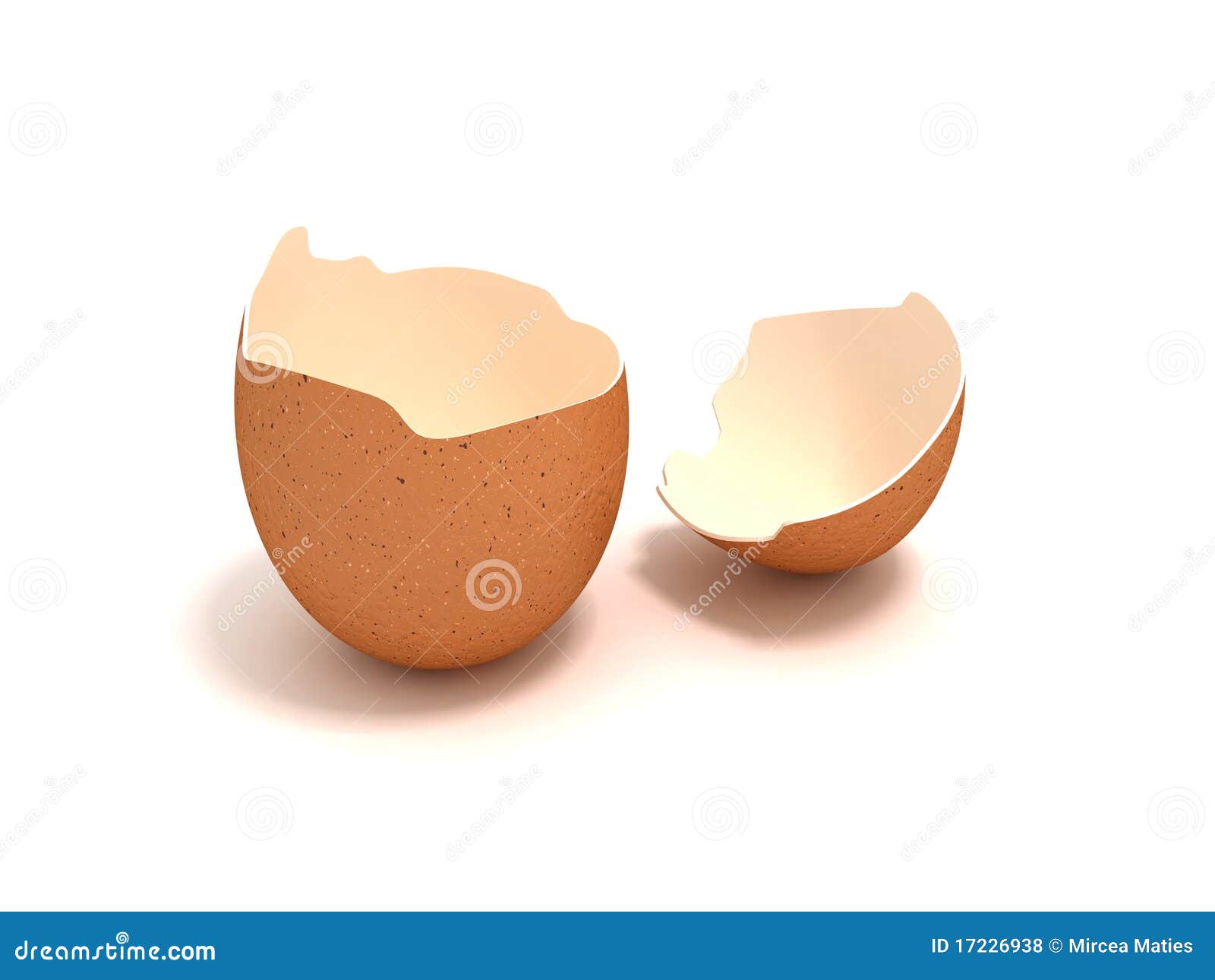 Eggshell stock illustration. Illustration of isolated - 17226938