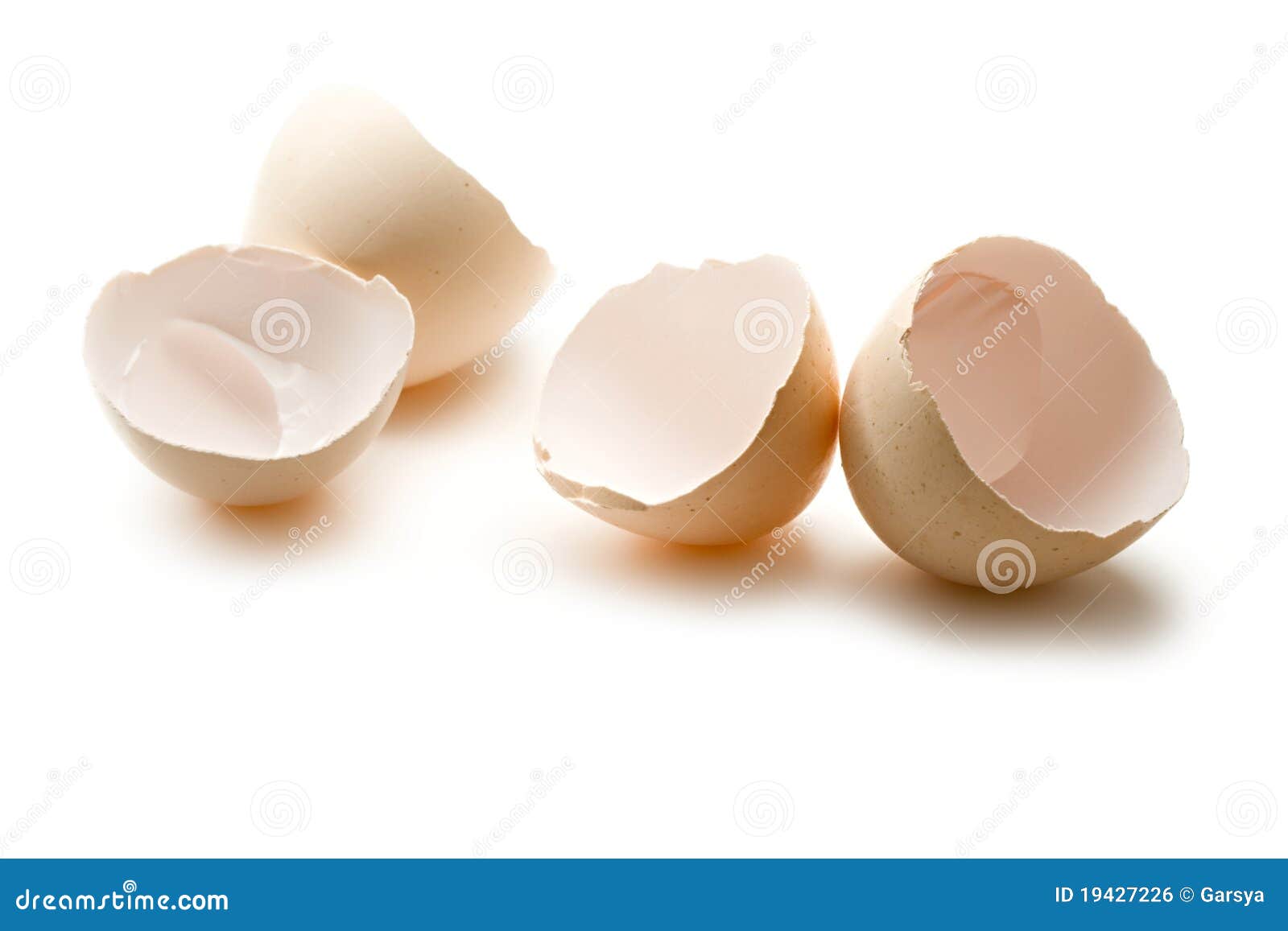 Eggshell stock photo. Image of eggshell, crack, crash - 19427226