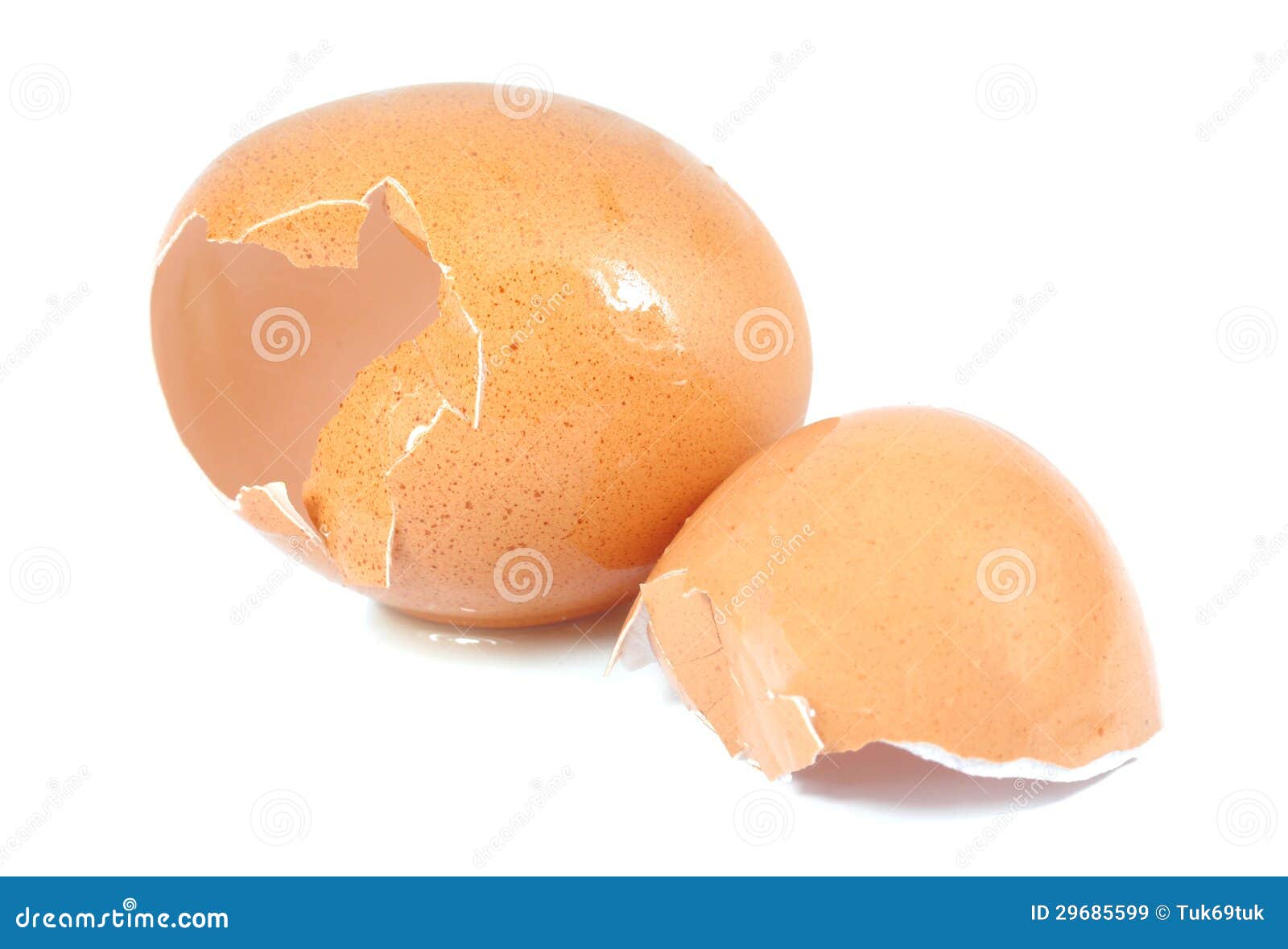 Eggshell stock image. Image of shell, eggs, product, healthy - 29685599