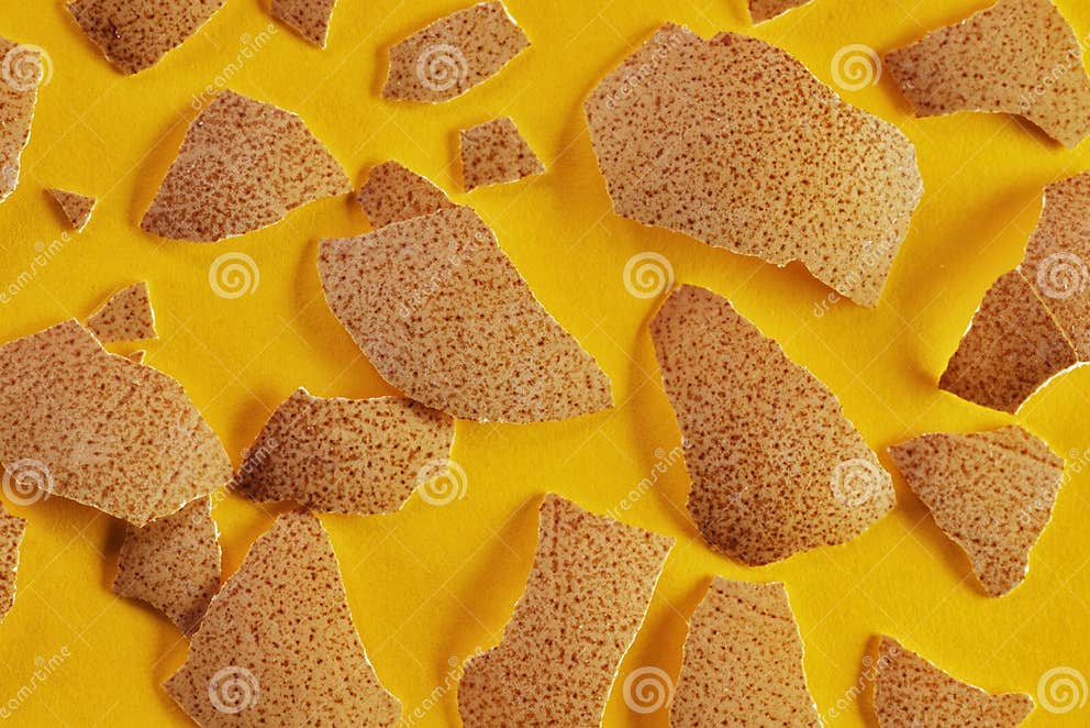 Eggshell background stock image. Image of abstract, effect - 142199885