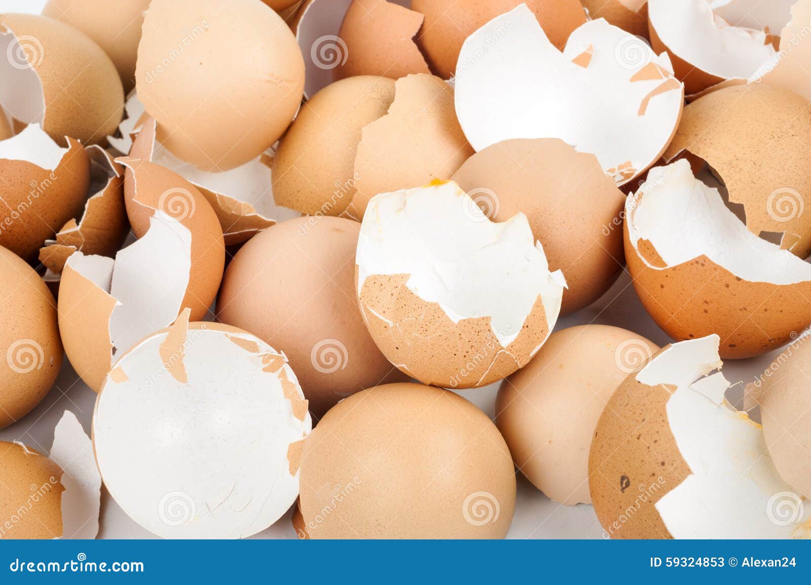 Eggshell stock image. Image of farm, organic, life, background - 59324853