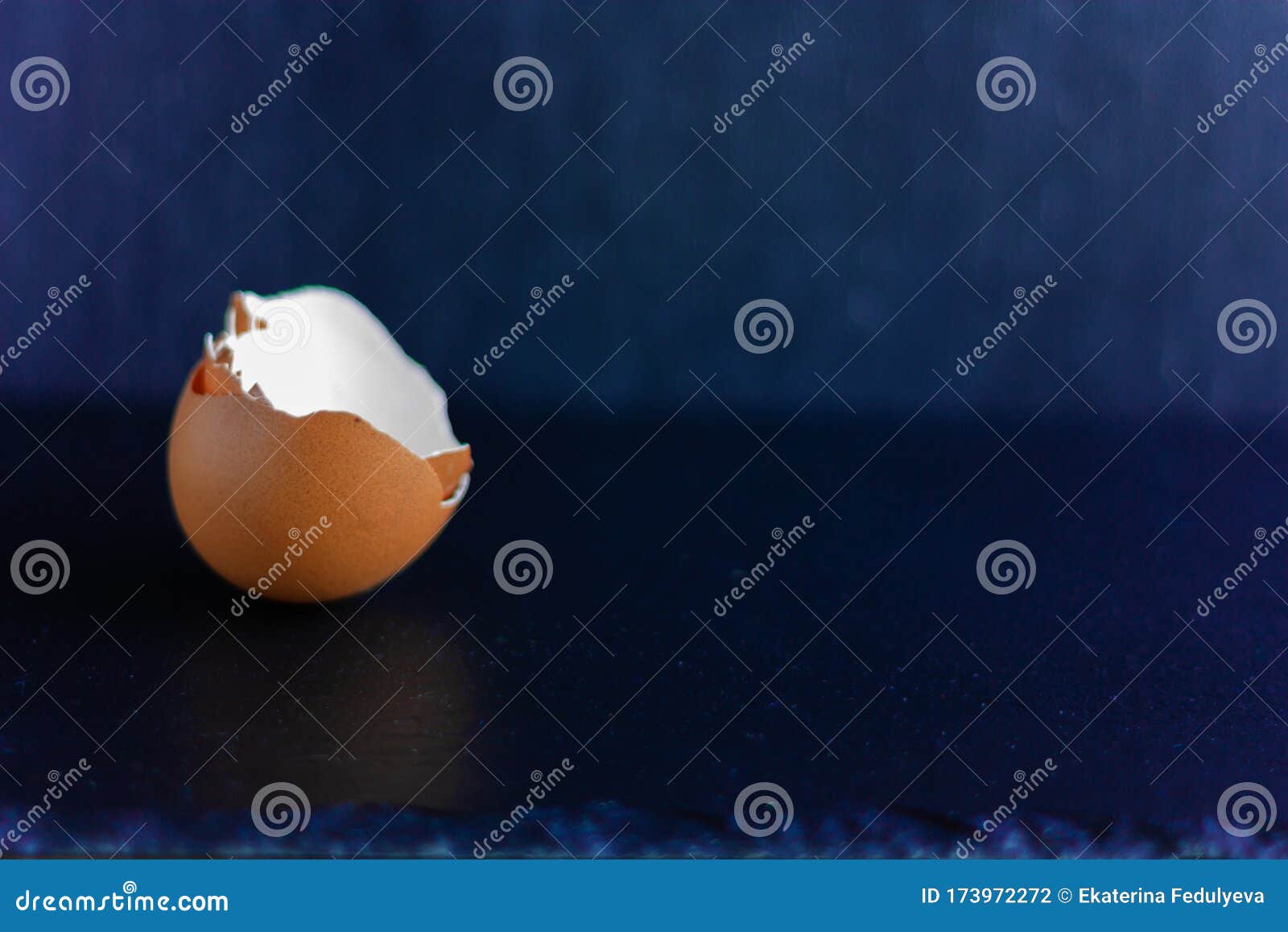Eggshell on Dark Blue Background Stock Photo - Image of closeup ...