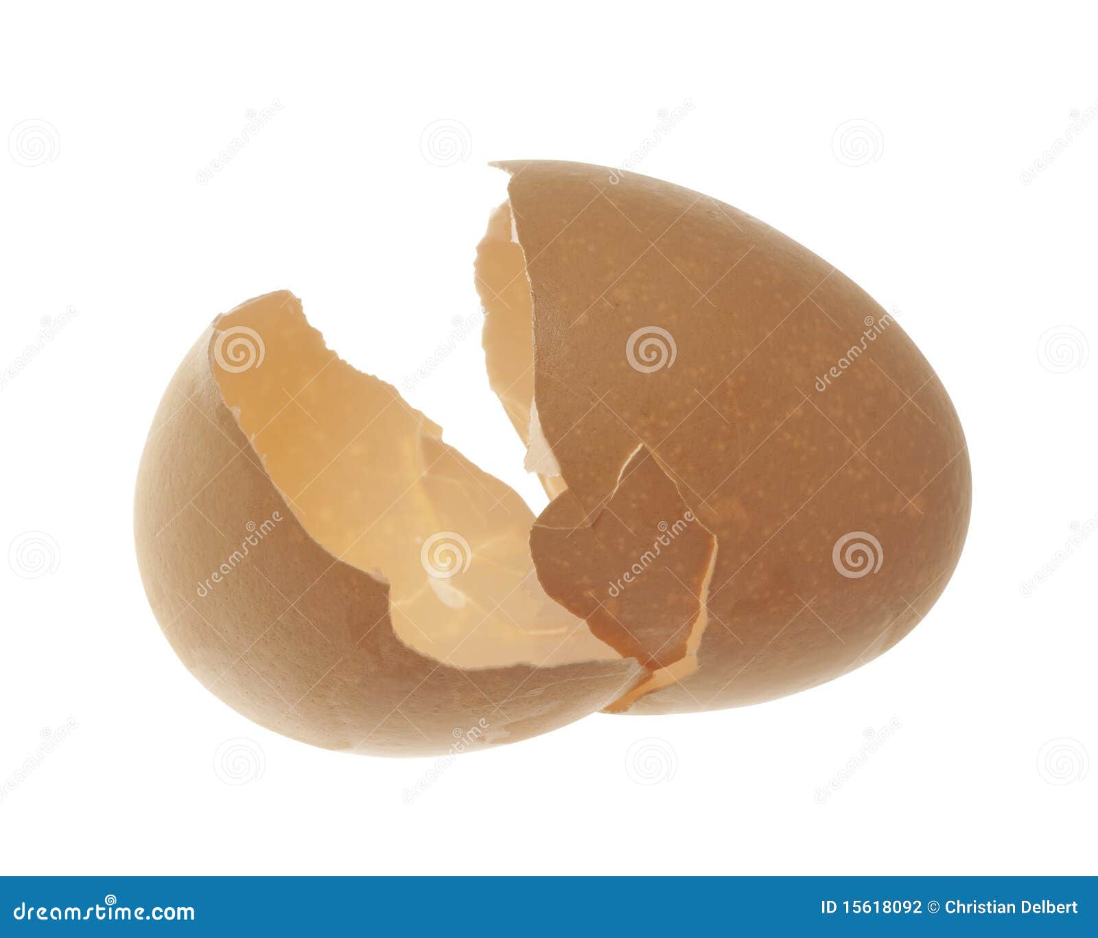 Eggshell Broken in Half, Isolated Stock Photo - Image of chicken, close ...