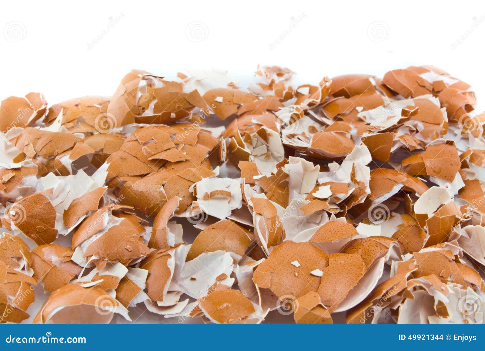 Eggshell stock photo. Image of brown, food, growing, farm - 49921344