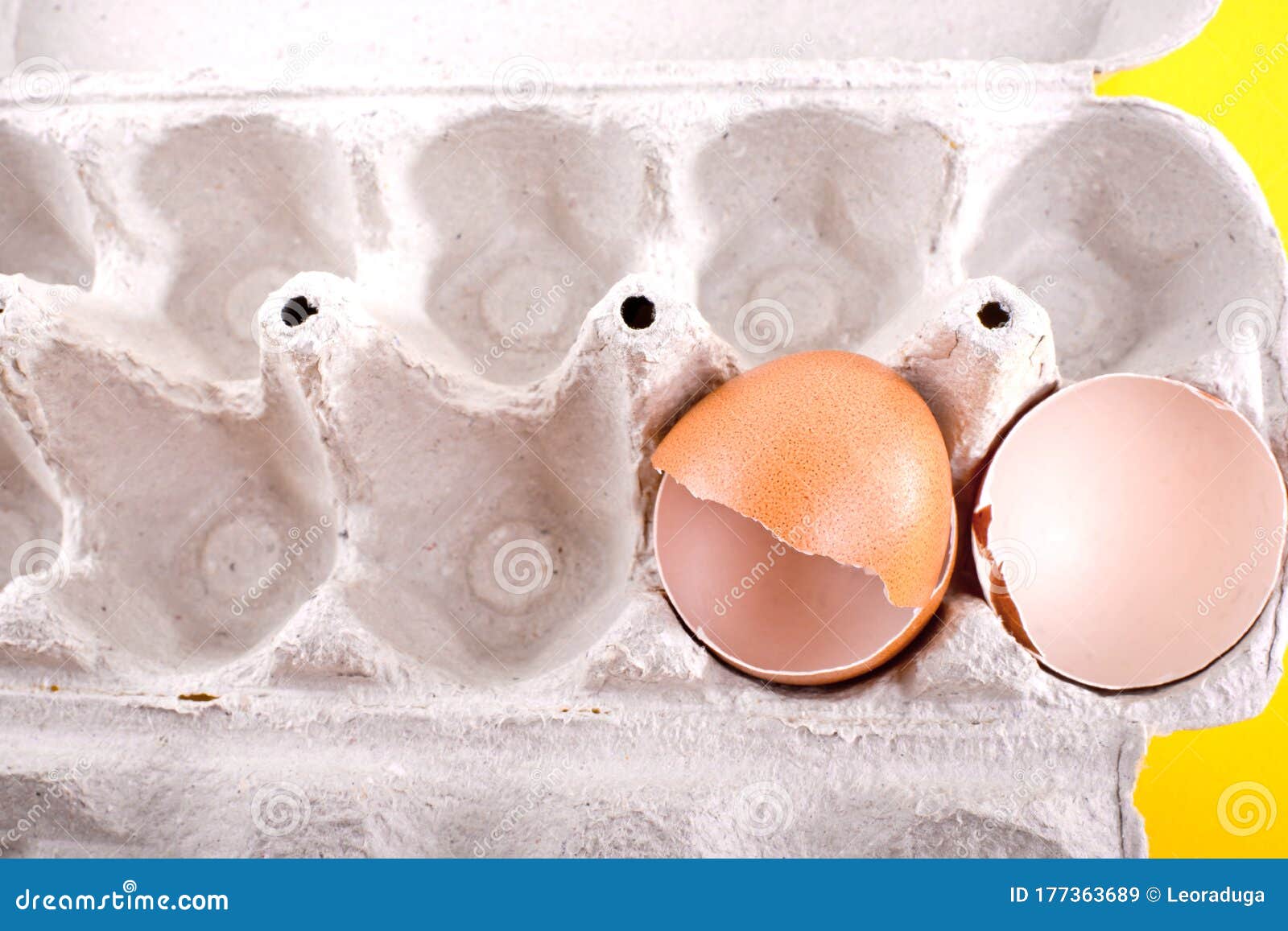 Eggshell in a Cardboard Tray. Stock Image - Image of natural, texture ...